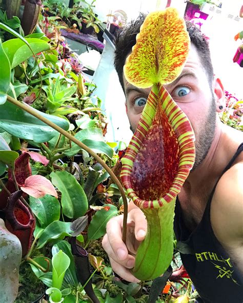 10 Reasons Why You Should Grow An Insect Eating Plant Michael Perry Mr Plant Geek