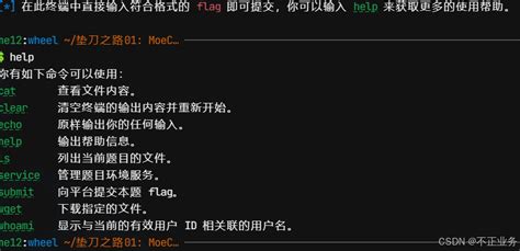 寒假归来，小白的我去了西电开始ctf（web篇第一天）西电ctf Csdn博客