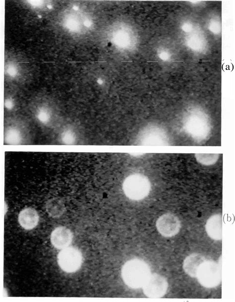 figure 2 1 from chapter 2 formation of liquid crystalline phases from a langmuir monolayer 2 1