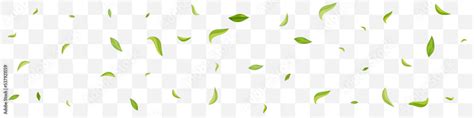 Green Background Stock Vector Adobe Stock