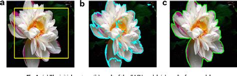 Figure 1 From A Geometric Active Contour Model Without Re