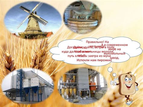 Путь хлеба от зерна до стола в картинках