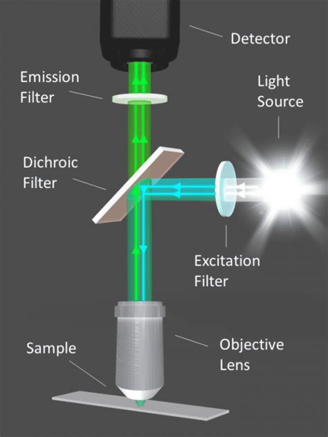 Custom Optical Filters Notch Optics