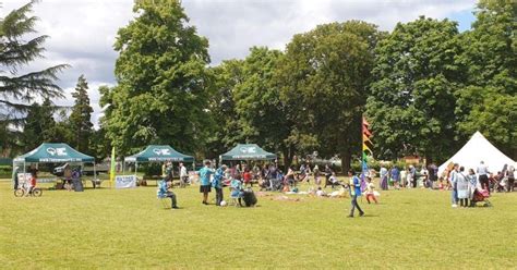 Ealing Tree Festival 2023 Trees For Cities
