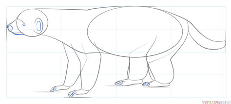 How To Draw A Honey Badger Step By Step Drawing Tutorials