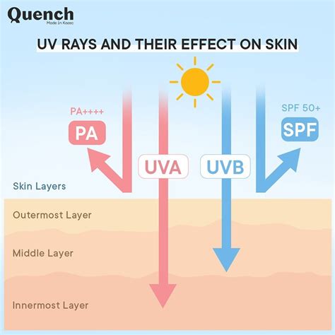 Heres A Detailed Explanation Of How Uv Rays Penetrate Into Your Skin