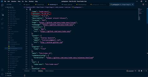 Problems And Their Solutions How To Resolve Node Saas Loader Error In