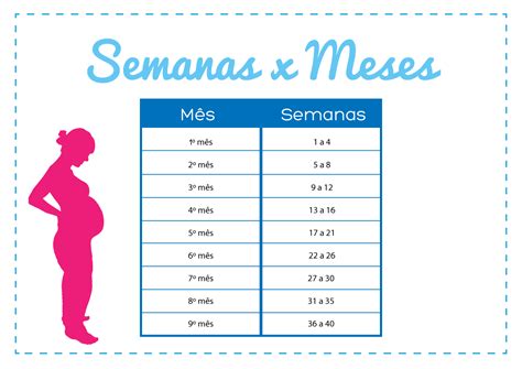 Calculadora Para Conversão De Semanas De Gravidez Em Meses
