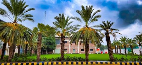 Farhan M Haroon On Linkedin Haleonproud Environmentday