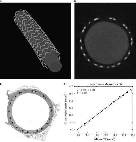 Quantitative Micro Ct Analysis Techniques And Results A Download Scientific Diagram