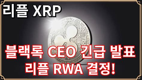 드디어 리플 시작합니다절대 놓치지 마세요 Youtube