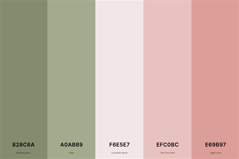 25 Best Sage Green Color Palettes With Names And Hex Codes Creativebooster