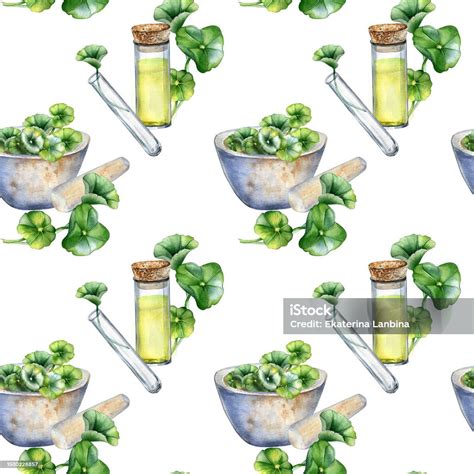 센텔라 아시아티카 에센셜 오일 돌 그릇 수채화 이음매 없는 패턴이 흰색으로 분리되어 있습니다 모르타르 유리 플라스크 시험관