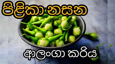 පිළිකා නසන ආලංගා කරිය Food Life Youtube