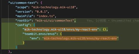 Custom Env Did Not Work · Issue 7255 · Teambitbit · Github