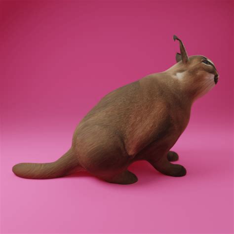 Floppa Cube 3d Model Cheapest Selling Dpise2022 Dps Uminho Pt