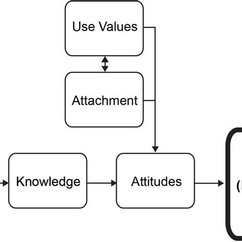 Cognitive Affective And Evaluative Factors That Interact To Affect Download Scientific
