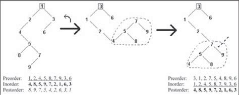 Figure 1 From Time Complexity Analysis Of The Binary Tree Roll