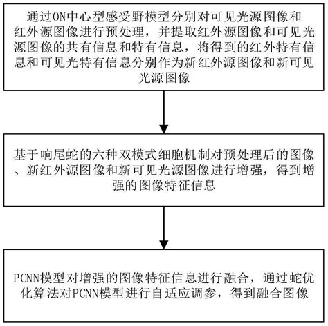 基于蛇优化算法的响尾蛇仿生pcnn图像融合方法