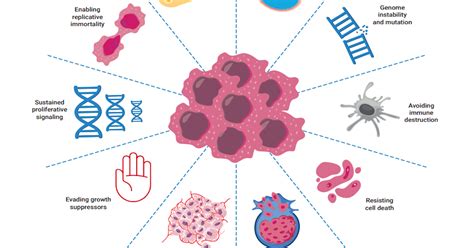Real Time Metabolic Analysis For Cancer Research Analisi Metabolica In Tempo Reale Per La