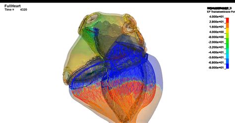 Pyansys Heart Advancing Heart Modeling Through Ai And Simulation
