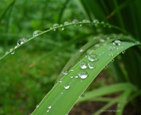 T Tutorials Com All About Layer Mask