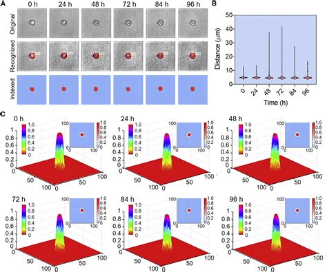 AI Aided High Throughput Profiling Of Single Cell Migration And Proliferation On Addressable