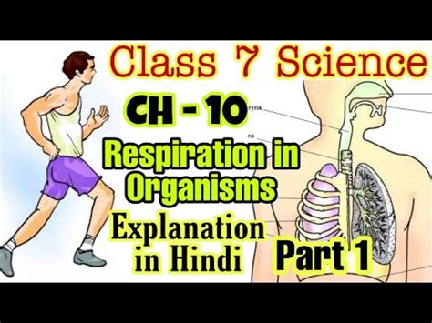 Class 7 Science Chapter 10 Respiration In Organisms CBSE NCERT