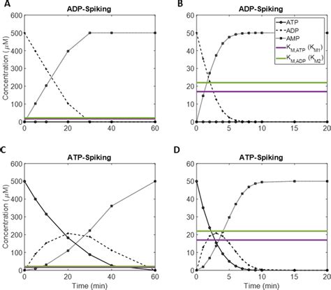Synthetic Data Sets Panels A And C Are The A “kukulski Style” Data