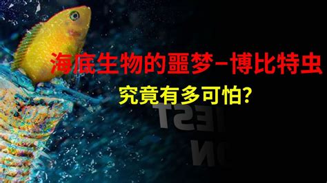 海底生物的噩梦 博比特虫究竟有多可怕 腾讯视频