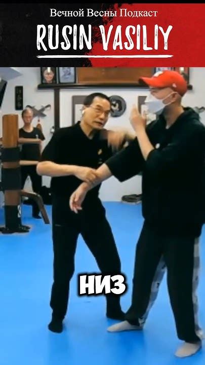 Вин Чун Дональд Мак принцип занятия Верха и Низа в атаке винчун разбор винчун кунфу