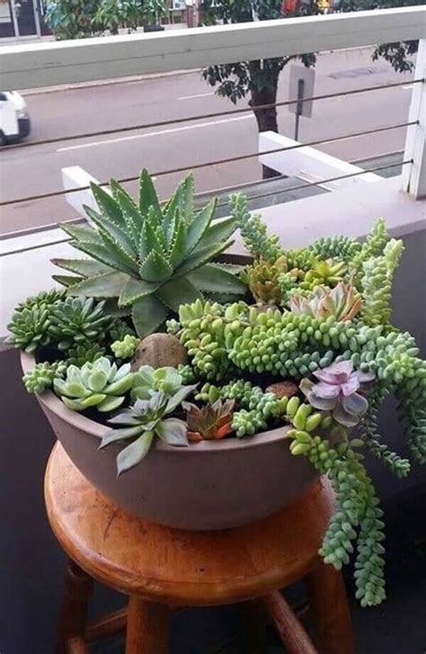 Mini Jardim Com Suculentas 12 Ideias Lindas