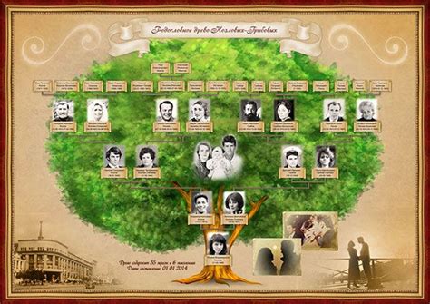 Как правильно составить родовое дерево семьи как поработать советы схемы и видео Семена