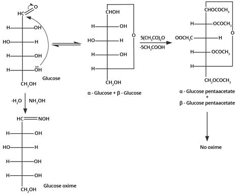 Ncert Solutions For Class 12 Chemistry Biomolecules