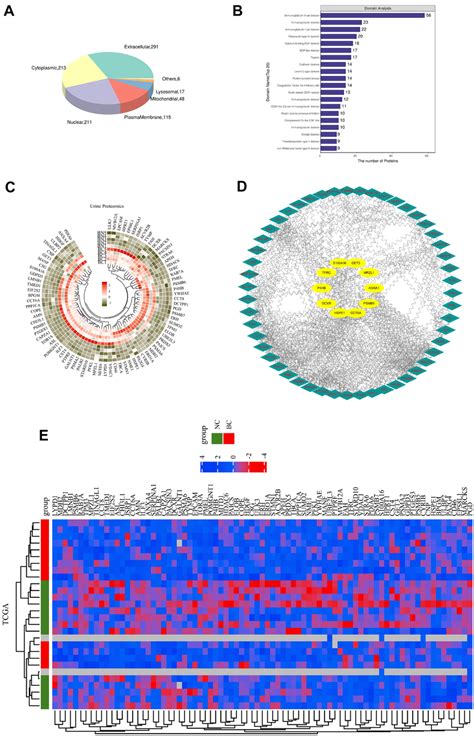 Subcellular Localization And Ppi Network Construction A Subcellular