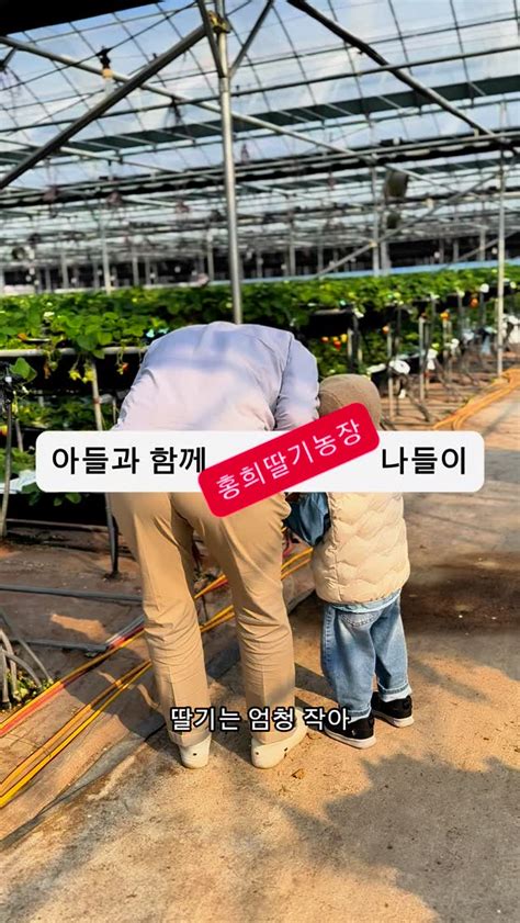 아틀리에 스미다 부산 디저트 카페 ° 딸기 케이크 ° 홍희딸기 아름다운 순간을 위한 특별한 선물 스미다의 발렌타인데이 시그니처 마이크로 케이크를 소개합니다 작은