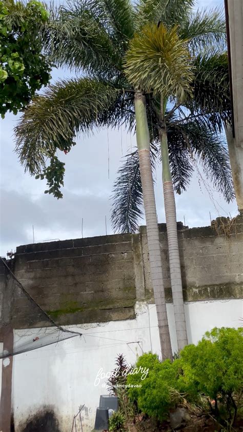 Piquancy Davao Davao City