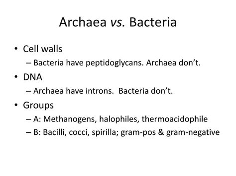 Ppt Prokaryotes Powerpoint Presentation Free Download Id 2016325