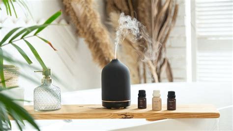 5 Types Of Diffusers How To Pick The Perfect One For Your Lifestyle