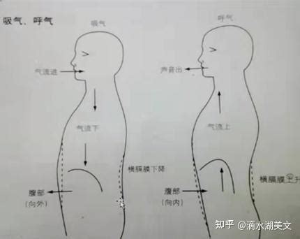 和我一起学唱歌 03 知乎