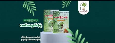 တောင်ကြာပန်း သောက်သုံးသူများ Facebook