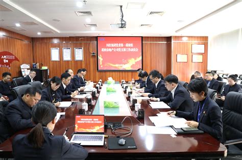 集团党委第一巡察组召开巡察房地产公司党支部工作动员会 川投要闻 四川川投国际网球中心开发有限责任公司