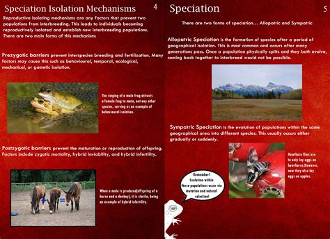Geographic Isolation Examples Animals Geographic Isolation Examples Animals