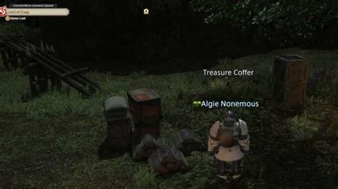 How To Unlock Treasure Hunts In Final Fantasy Xiv Timeworn Maps The Dig Action And More