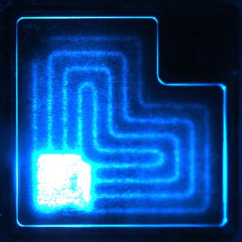 Microscope Image Of Light Output Under Electrical Excitation For A Blue Download Scientific