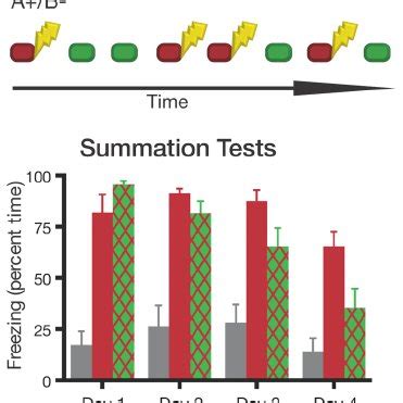 Examples Of Safety Learning Procedures And Tests Download Scientific Diagram