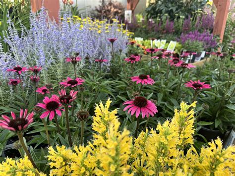 Wentworth Douglass Hospital Wentworth Douglass Hospital