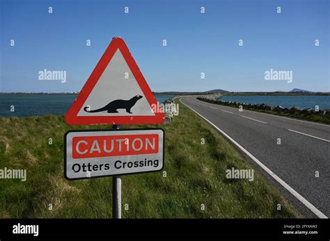Caution Otters Crossing Sign Red Warning Triangle And Otter Icon Blurred Background Of