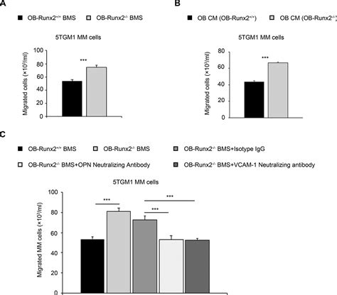 Runx2 Deficiency In Osteoblasts Promotes Myeloma Progression By Altering The Bone