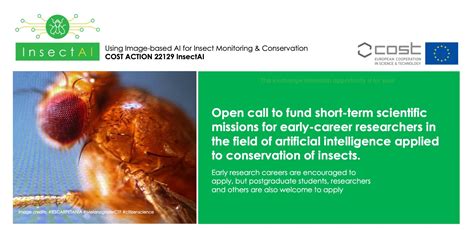 Insectai Using Image Based Ai For Insect Monitoring And Conservation